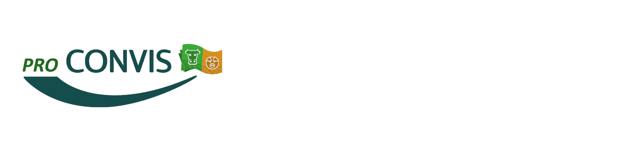 CONVIS s.c.: Stellenangebot